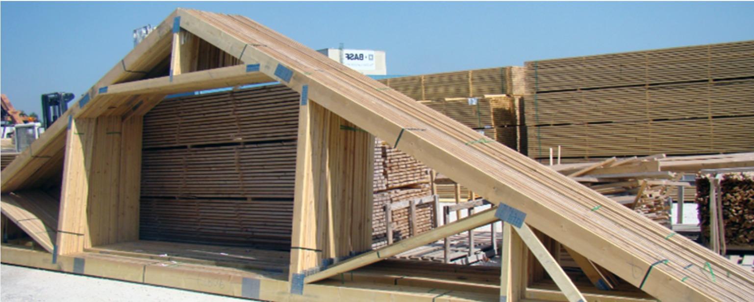 sarpante - Universitatea Tehnica de Constructii Bucuresti